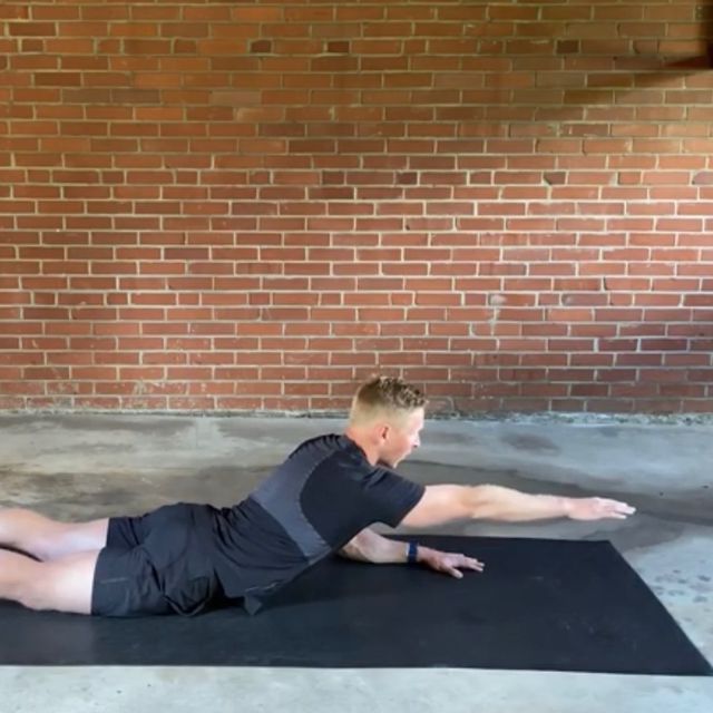 Sphinx Pose Reaches by Brian Fallon - Exercise How-to - Skimble