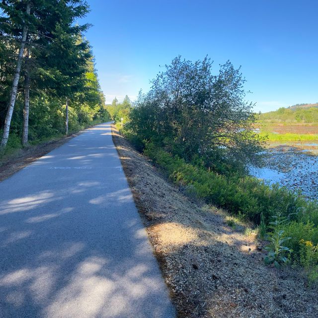 Walk Moderat 4 / Incline 4 by Deb W. - Exercise How-to - Skimble