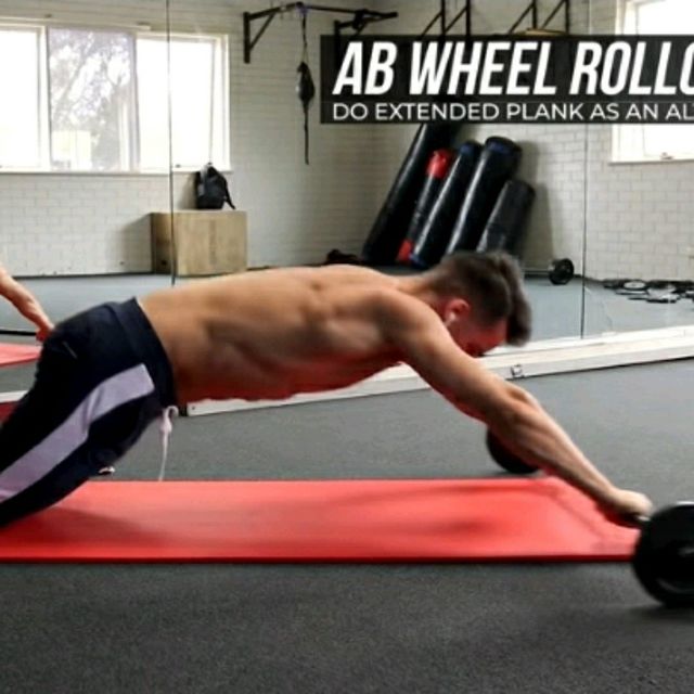 Ab Wheel Rollout by Martel Berry - Exercise How-to - Skimble