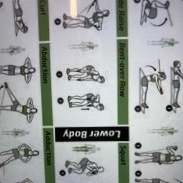 Resistance Band Bent Over Row by Robert Clermont - Exercise How-to ...