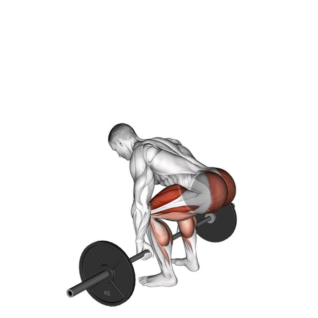 Barbell Standard Deadlift by John M. - Exercise How-to - Skimble