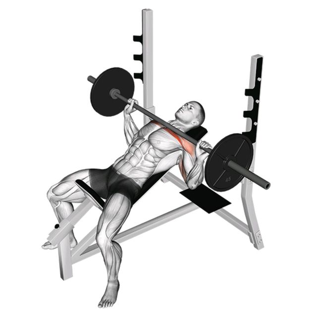 Barbell Incline Press by John M. - Exercise How-to - Skimble