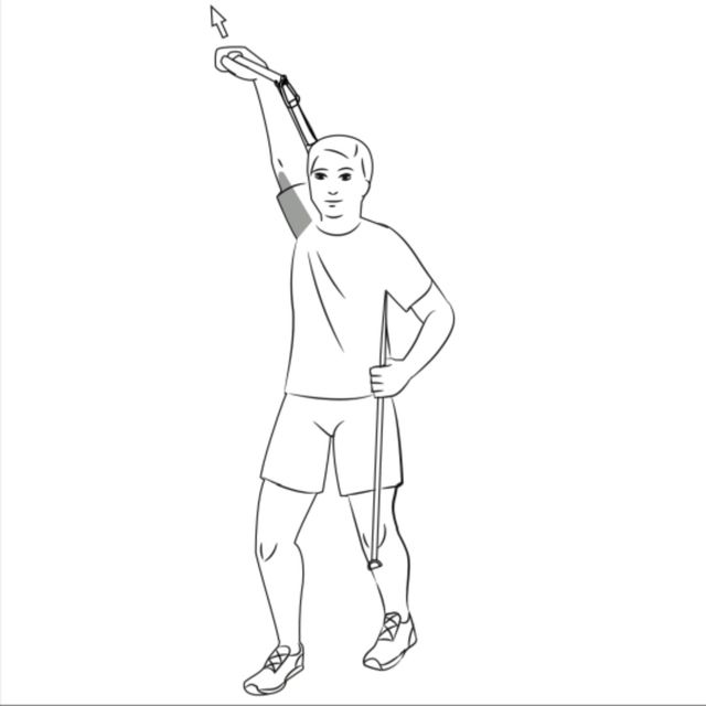 8 by Draginja T. - Exercise How-to - Skimble Workout Trainer