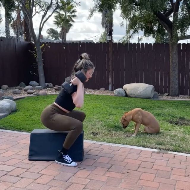 Sumo Box Squat Jumps by Rushfitness 💪🏽 - Exercise How-to - Skimble