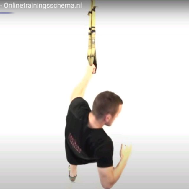 TRX One Arm Row by Previn L. - Exercise How-to - Skimble