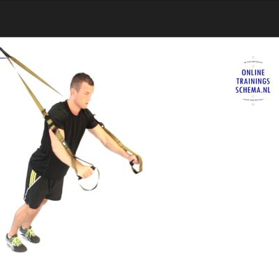 TRX One Arm Row by Previn L. - Exercise How-to - Skimble