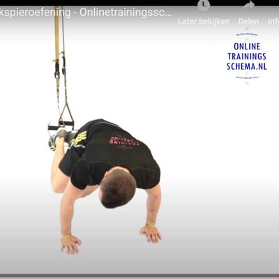 TRX One Arm Row by Previn L. - Exercise How-to - Skimble