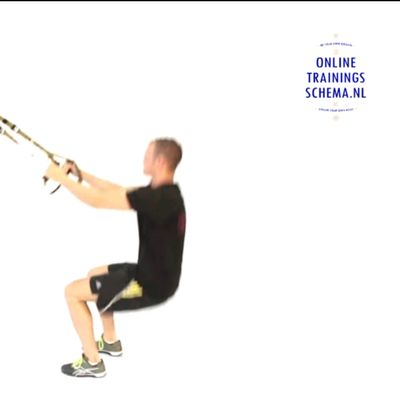 TRX One Arm Row by Previn L. - Exercise How-to - Skimble