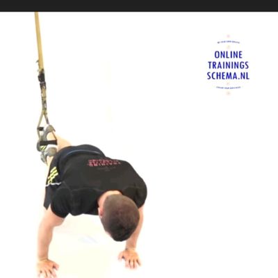 TRX One Arm Row by Previn L. - Exercise How-to - Skimble