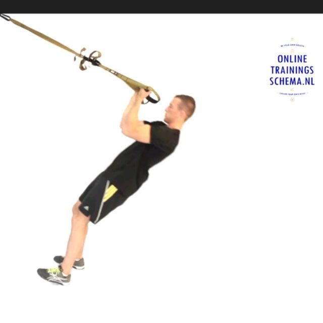 TRX Biceps Curl by Previn L. - Exercise How-to - Skimble