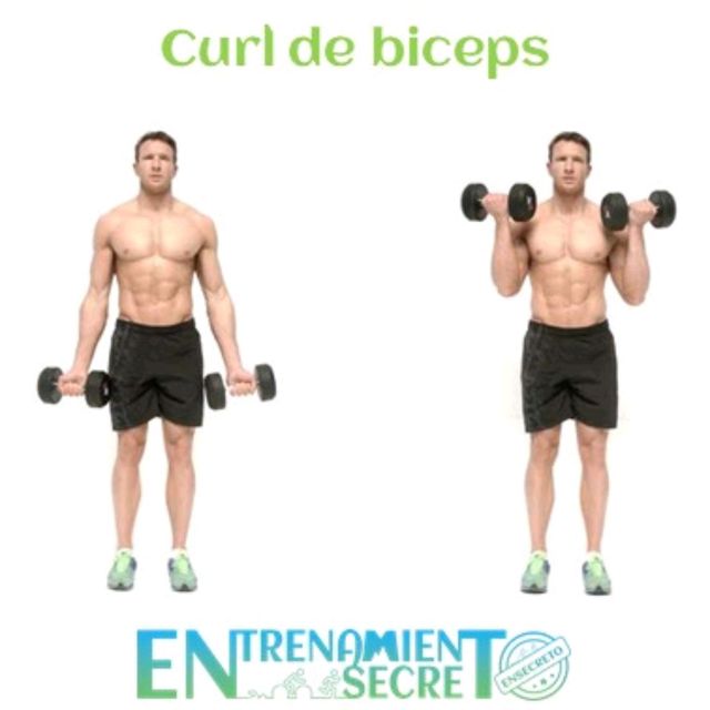 Curl De Bíceps por Jose Carlos Moreno Perez - Ejercicio Cómo hacerlo - Skimble