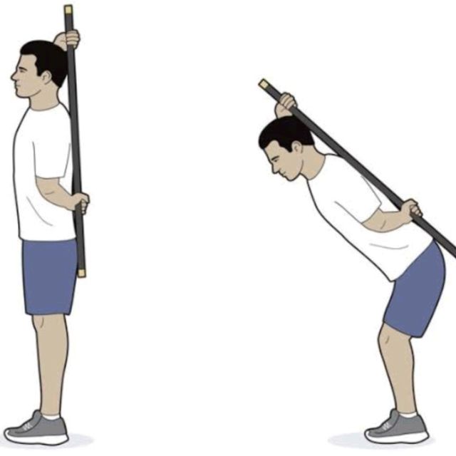 Hip Hinge Static Stability With Pole by Vincent H. - Exercise How-to ...