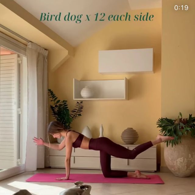 Bird Dog Each Side por Rushfitness 💪🏽 - Ejercicio Cómo hacerlo - Skimble