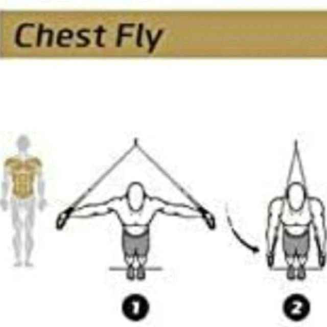 Chest Fly by Guido Tozzi - Exercise How-to - Skimble