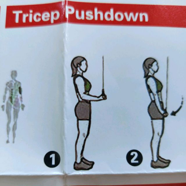 Tricep Pushdown by Dan S. - Exercise How-to - Skimble