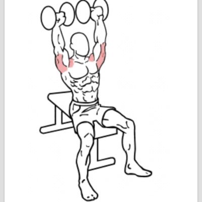 Triceps Cross-over Pull-down by Titanshores _ - Exercise How-to - Skimble