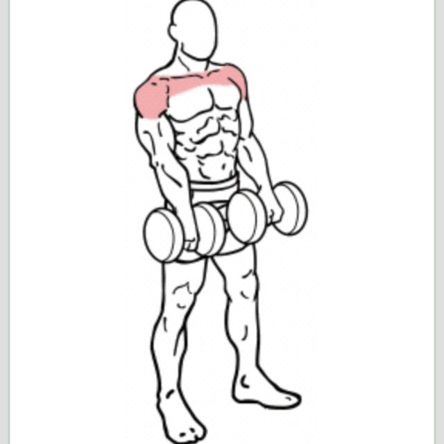 Dumbbell Front-Raises. by Titanshores _ - Exercise How-to - Skimble