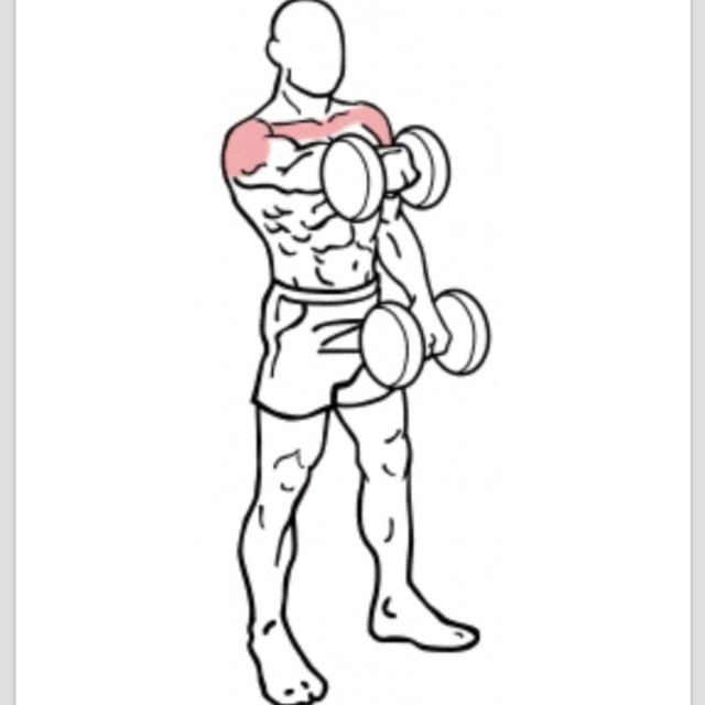 Dumbbell Front-Raises. by Titanshores _ - Exercise How-to - Skimble
