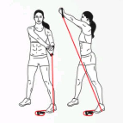 Plank Rotations by Angela J. - Exercise How-to - Skimble