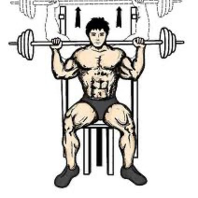 Military Press by Elizabeth Helmick - Exercise How-to - Skimble