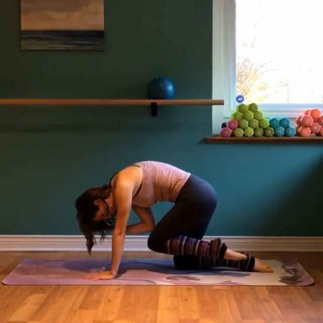 Opposite Arm Leg Lift + Curl by Rushfitness 💪🏽 - Exercise How-to - Skimble