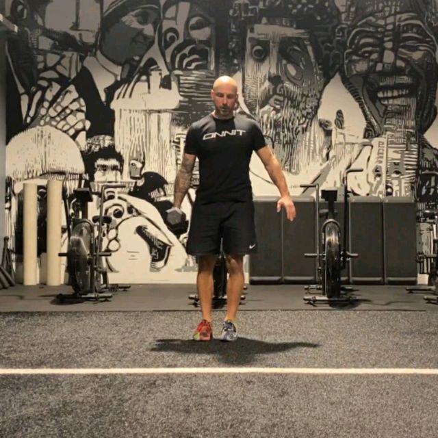 Dumbbell Lateral Lunge with Reach by Brittany D. - Exercise How-to ...