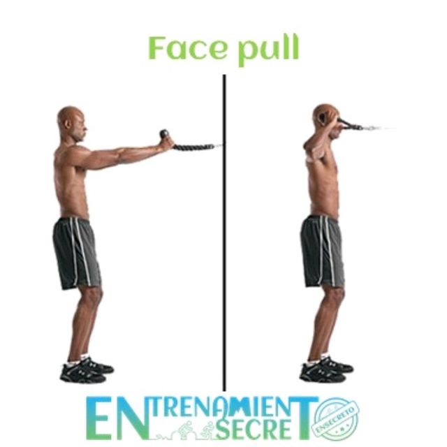 Face Pull by Jose Carlos Moreno Perez - Ejercicio Cómo hacerlo - Skimble