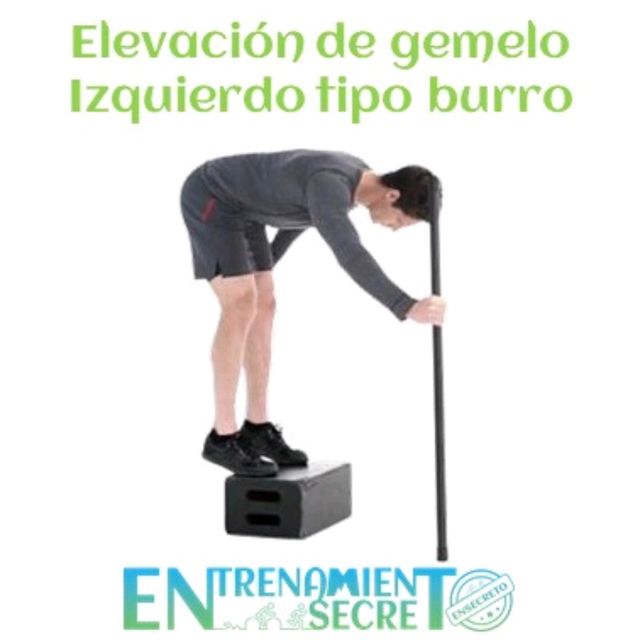 Elevación De Gemelo Izquierdo Tipo Burro by Jose Carlos M. - Ejercicio ...