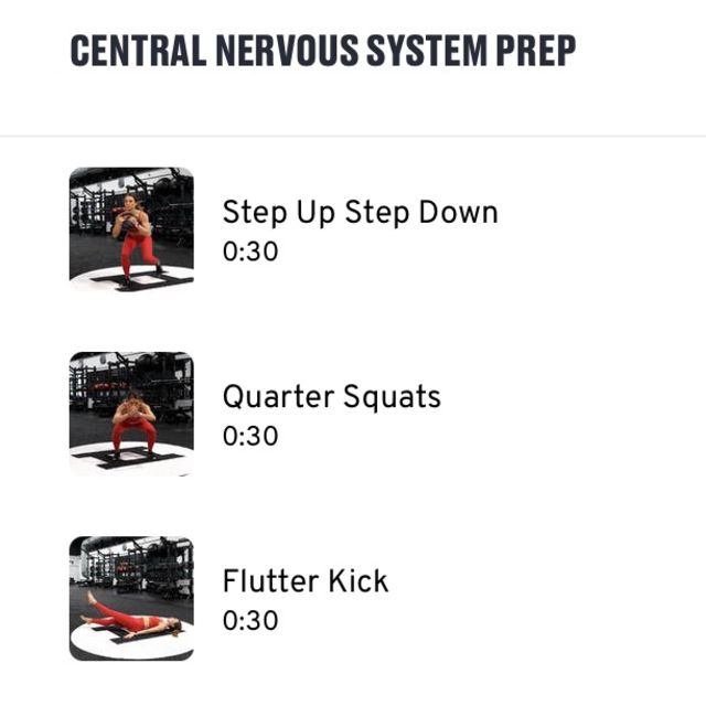 CNS Prep. Step Ups. Quater Squats. Flutter Kicks by Rushfitness 💪 ...