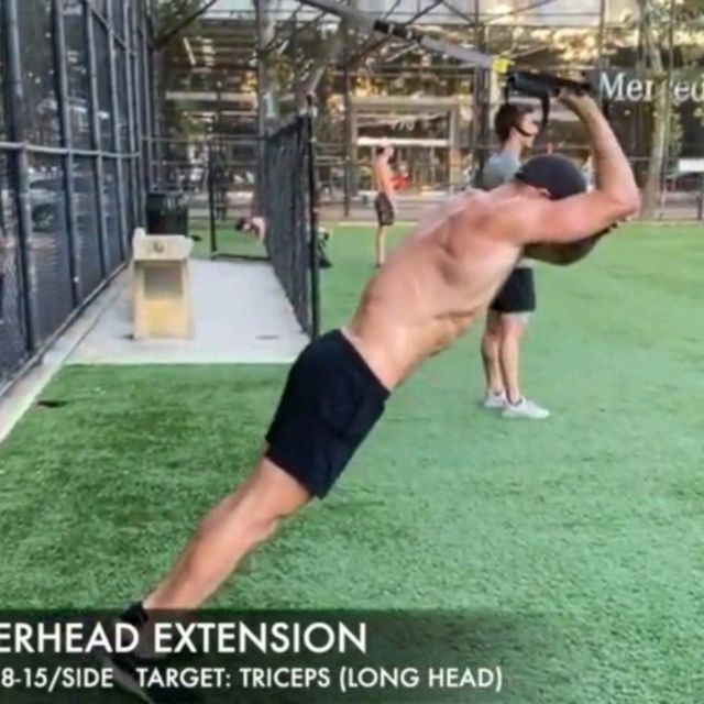 TRX - Single Arm Extension by Frank Roodenburg - Exercise How-to - Skimble