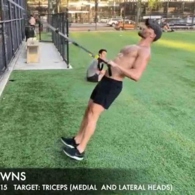 TRX - Press Downs by Frank Roodenburg - Exercise How-to - Skimble