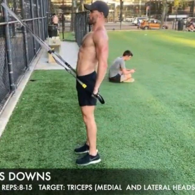 TRX - Press Downs by Frank Roodenburg - Exercise How-to - Skimble