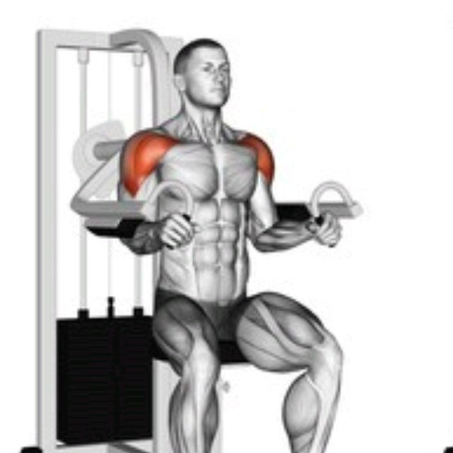 Lateral Raises: Machine by Richard Terry Jr - Exercise How-to - Skimble