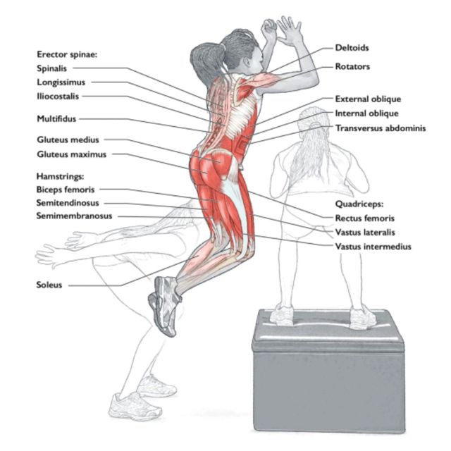 10 to 12 Box Jumps by Chan Y. - Exercise How-to - Skimble