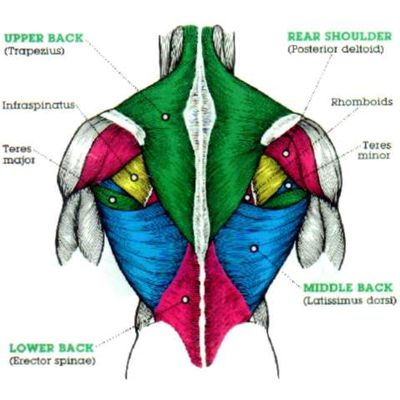 4-Way Steamboat by Alonzo Brown - Exercise How-to - Skimble