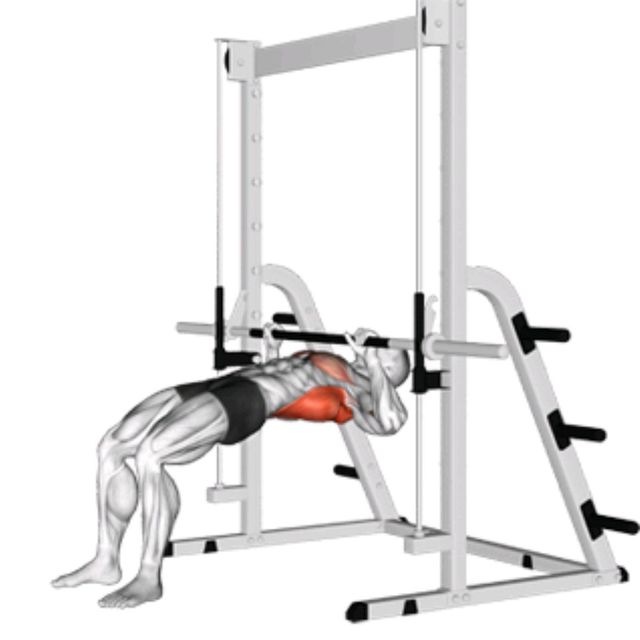 Inverted Row by Albert Tiger - Exercise How-to - Skimble