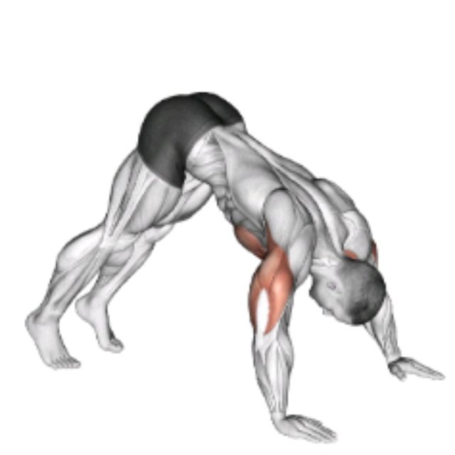 Pike Push Up by Albert Tiger - Exercise How-to - Skimble