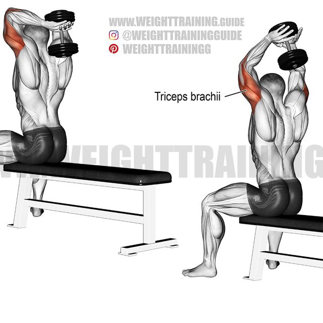 seated over head extenstion by Aiden Nicks - Exercise How-to - Skimble