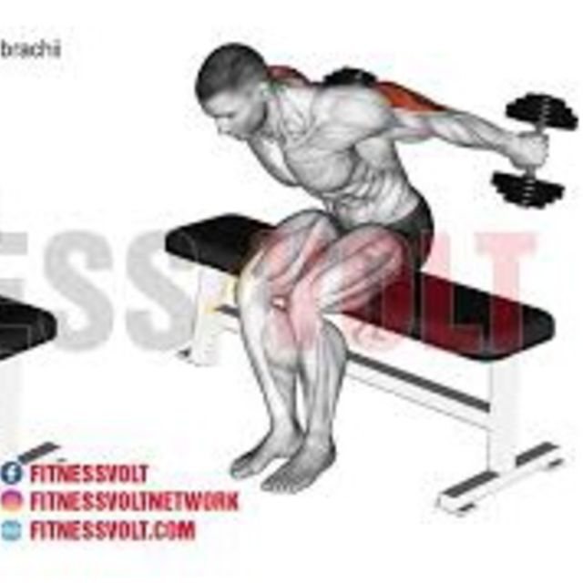 seated dumbbell kick backs by Aiden Nicks - Exercise How-to - Skimble