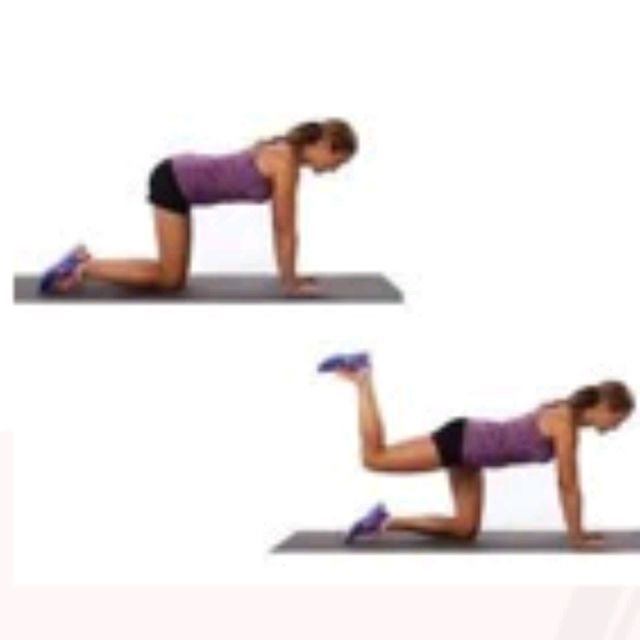 Cuadrupedia by Paula Alvarado Quiroz - Ejercicio Cómo hacerlo - Skimble