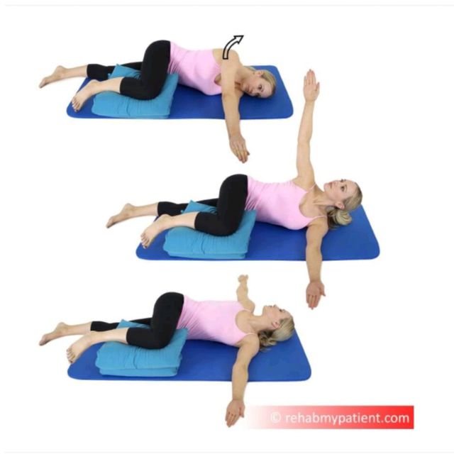 Open Book by Paul F. - Exercise How-to - Skimble Workout Trainer