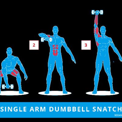 Dumbbell Snatch Left by Gert F. - Exercise How-to - Skimble