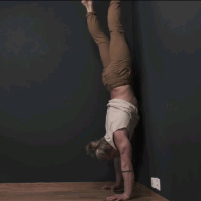 Wall Push In(Facing Wall) by Alex 🌊. - Exercise How-to - Skimble