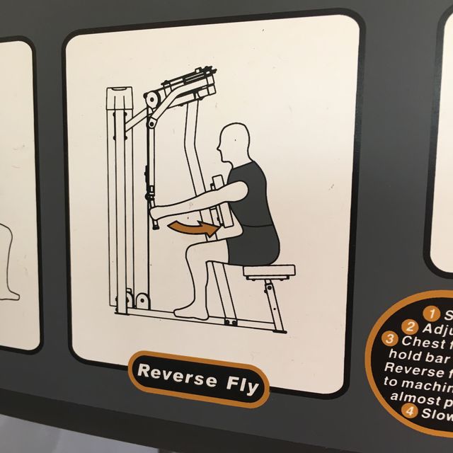 Reverse Fly by Siphiwe Baleka - Exercise How-to - Skimble