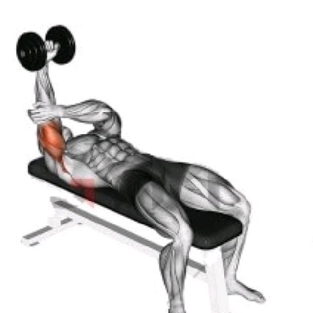 Lying Dumbbell Extension by Richard Terry Jr - Exercise How-to - Skimble