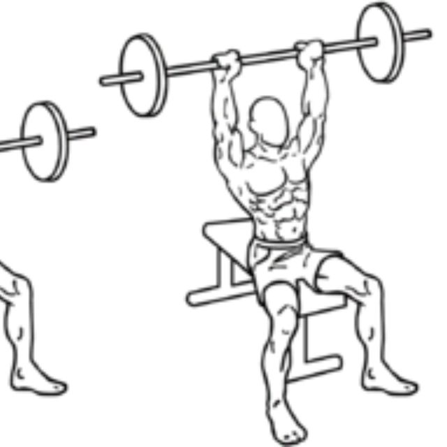 Seated Front Press by Richard Terry Jr - Exercise How-to - Skimble