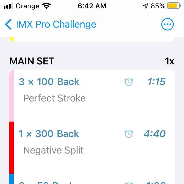 IMX Pro Backstroke Technique - Free Intense Workout by Siphiwe B. - Skimble