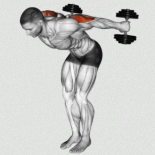 Double Row Kickback by Richard Terry Jr - Exercise How-to - Skimble