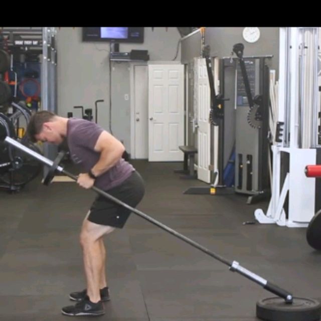 Landmine SA Row by Francisco Perez - Ejercicio Cómo hacerlo - Skimble