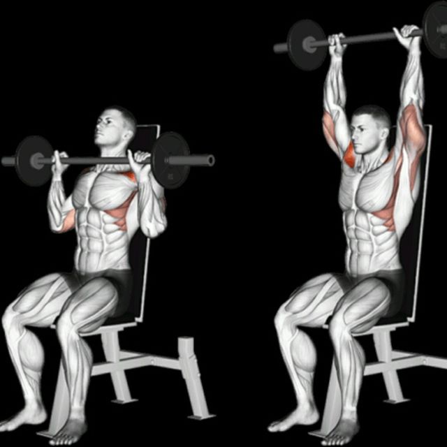 Seated Overhead Press by Martel Berry - Exercise How-to - Skimble